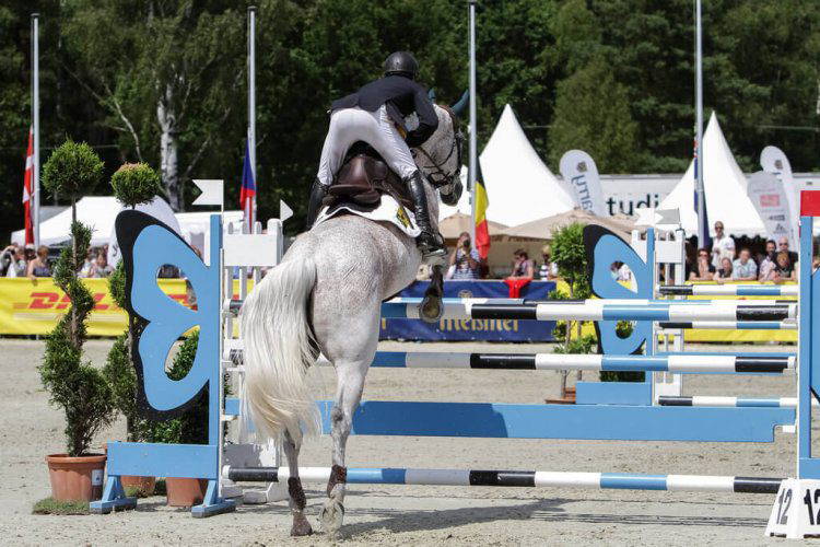Chard Equestrian to celebrate fifth year of sponsorship of the British ...