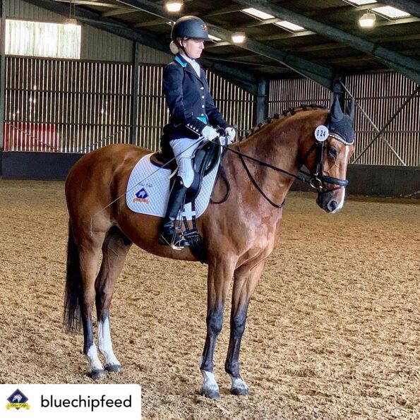 Jemima Green Grade II Para Dressage - Big news and our First ...