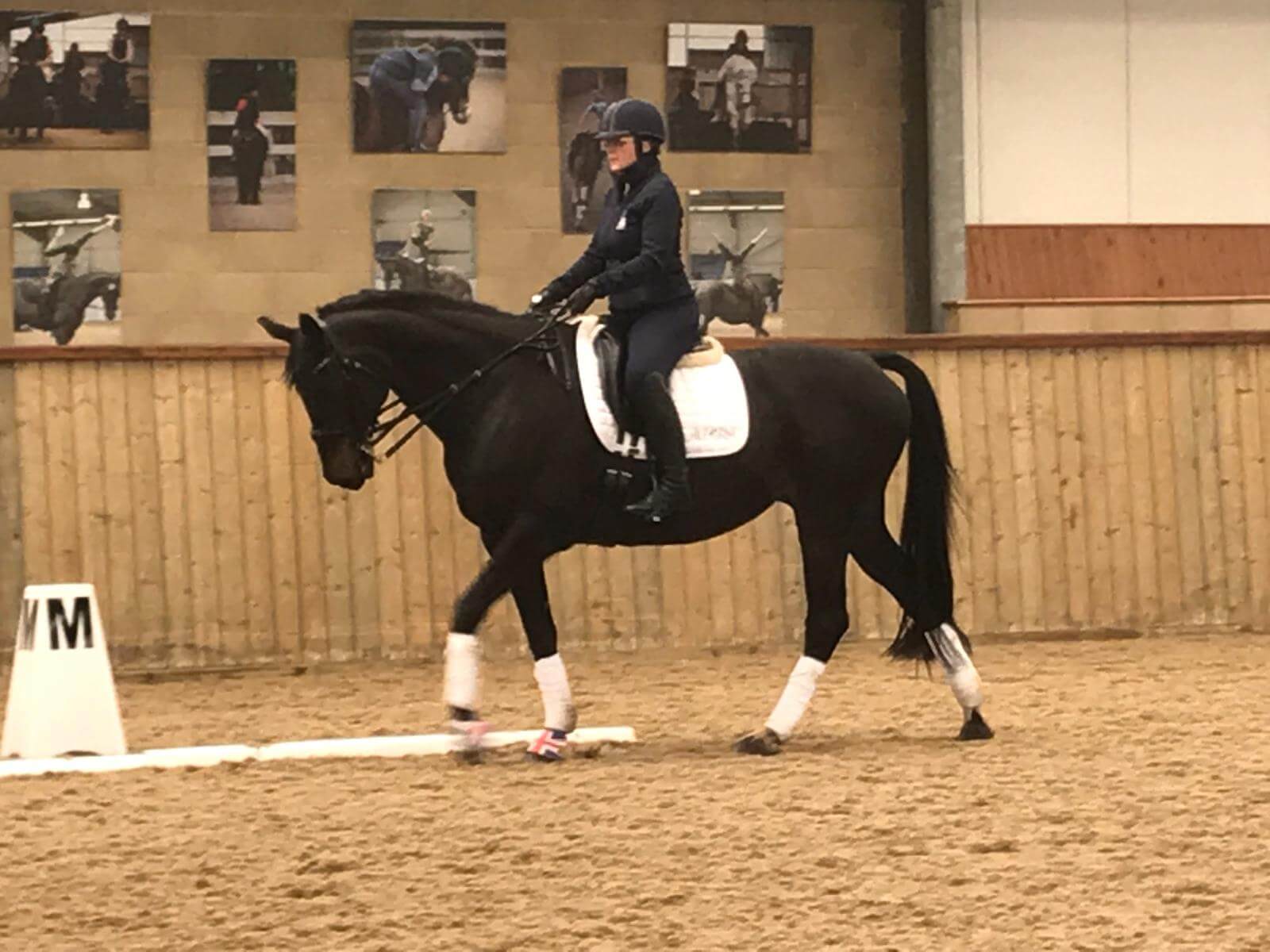 Genius Equestrian - The Home of Everything Equine